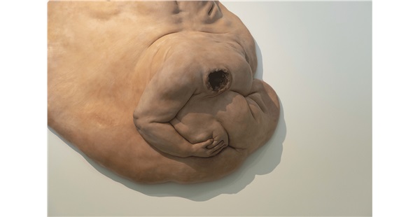 Isaacs, John | Palazzo delle Esposizioni - Sublimi Anatomie